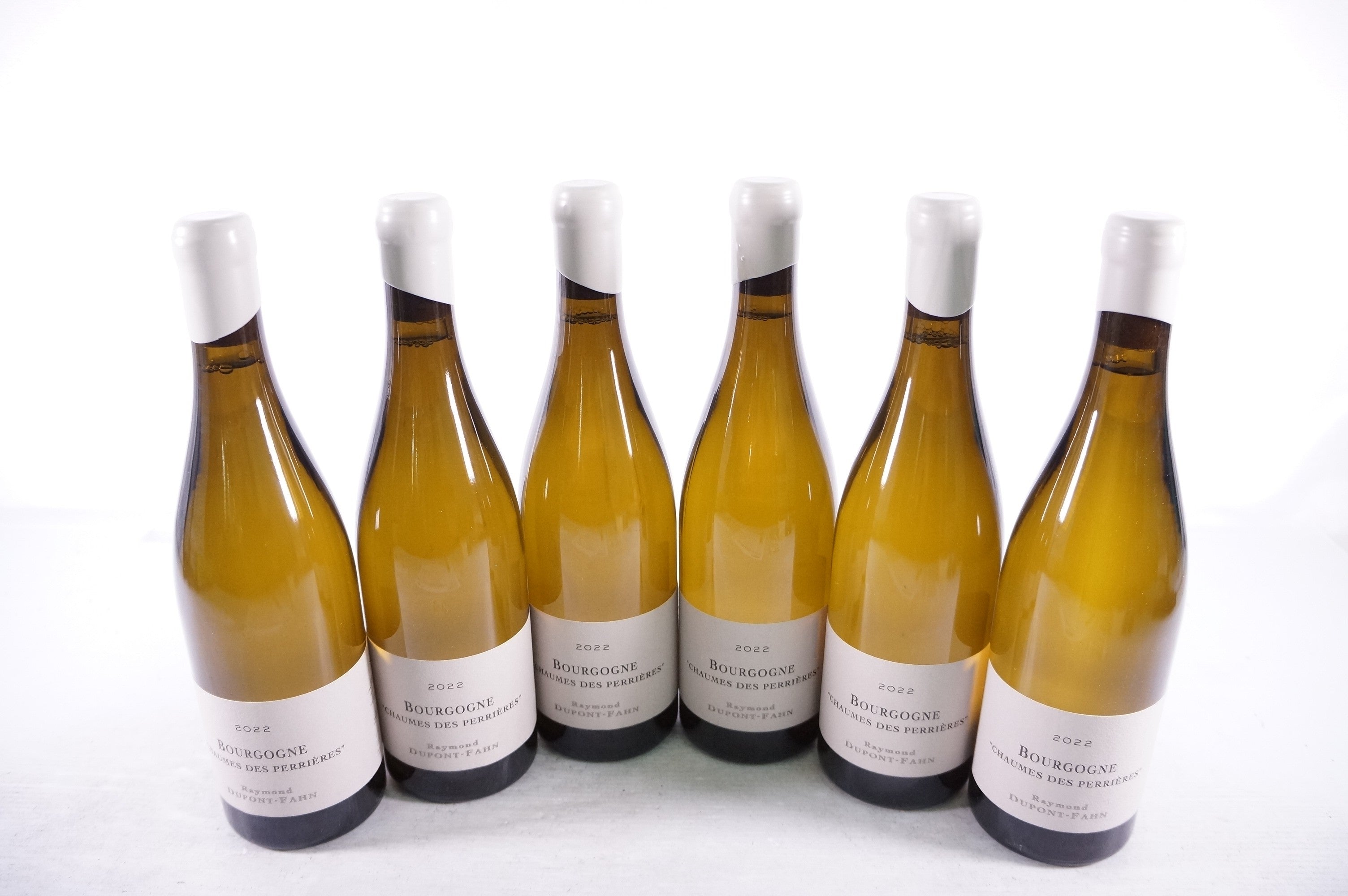 Dupont Fahn Raymond Bourgogne Chaumes des Perrieres 2022 – Ginsberg ...