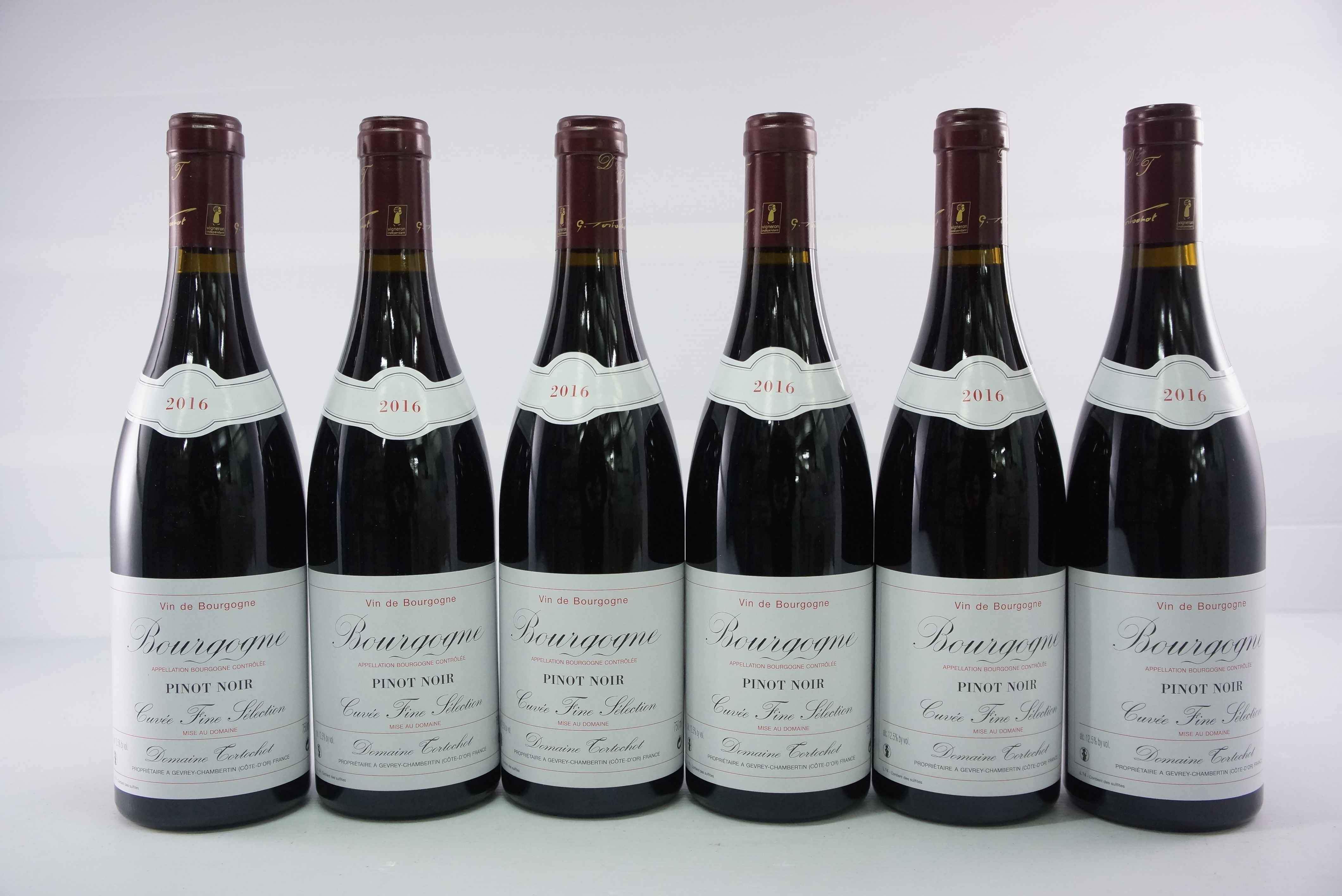 Tortochot Bourgogne Rouge Cuvee Fine Selection 2016 – Ginsberg+Chan ...