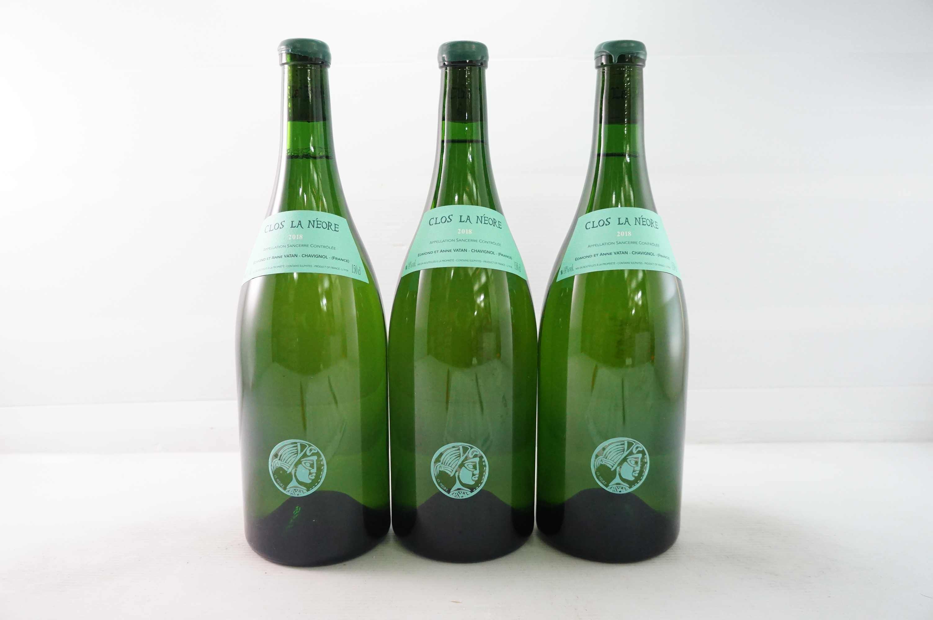 Edmond Vatan Sancerre Clos la Neore Blanc Magnum 2018 – Ginsberg+Chan ...